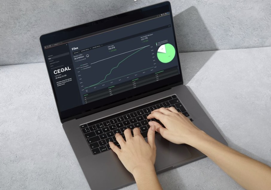 Cegal Data Program | Cegal